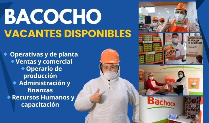 Empleo Grupo Bachoco🐔: Vacantes disponibles 2026